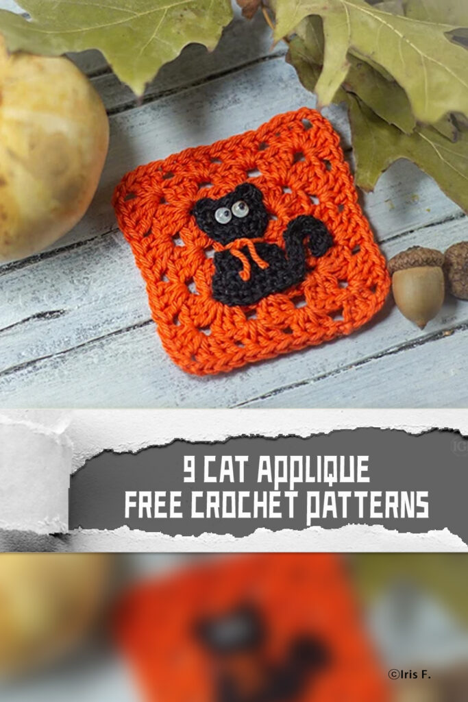 9 Cat Applique FREE Crochet Patterns - iGOODideas.com