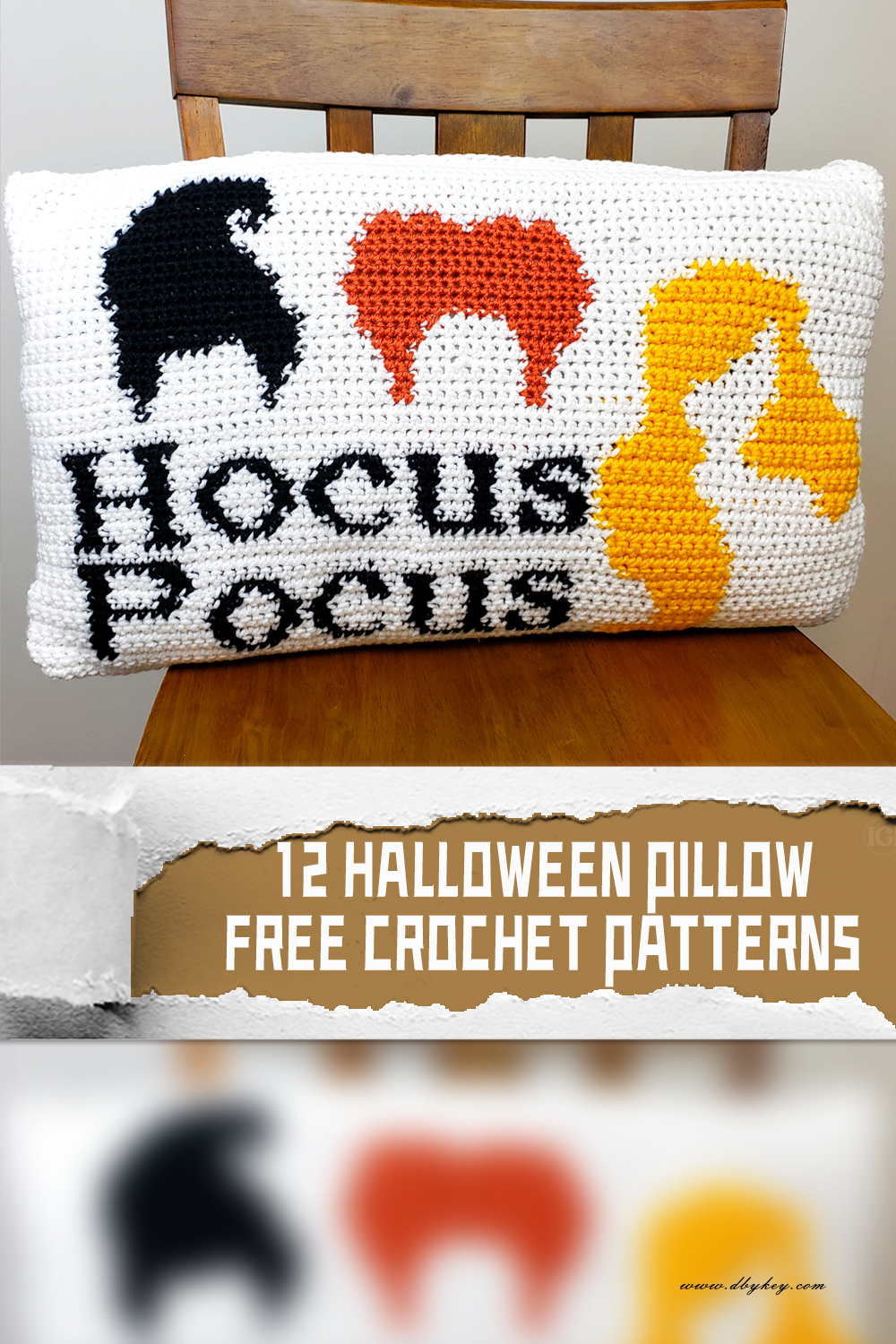 12 Halloween Pillow FREE Crochet Patterns - iGOODideas.com