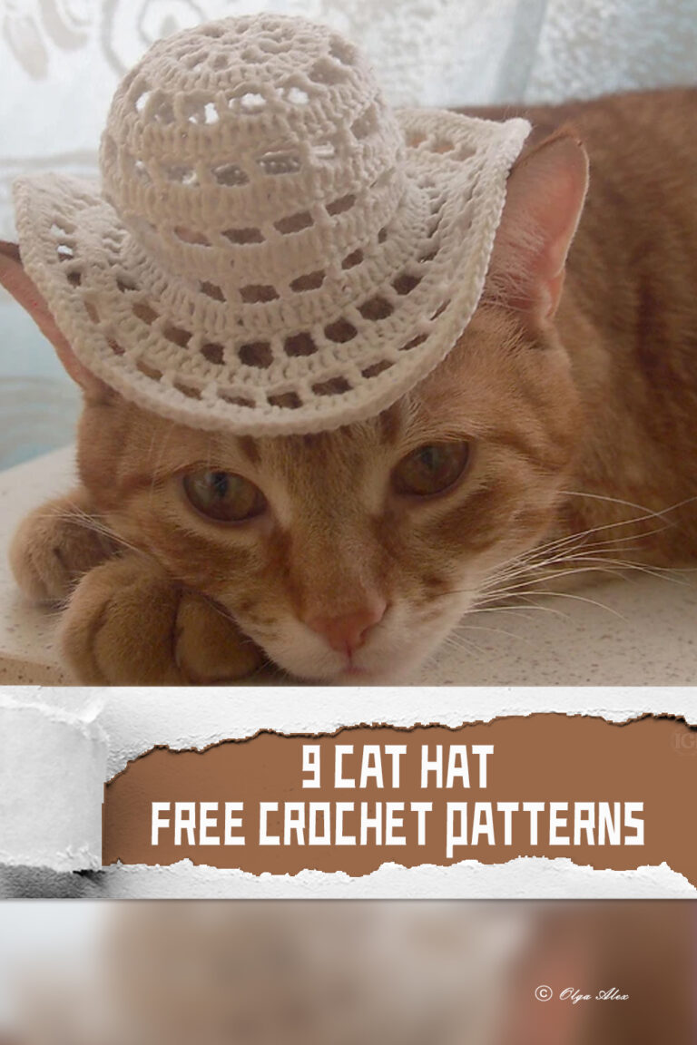 9 Cat Hat FREE Crochet Patterns - iGOODideas.com