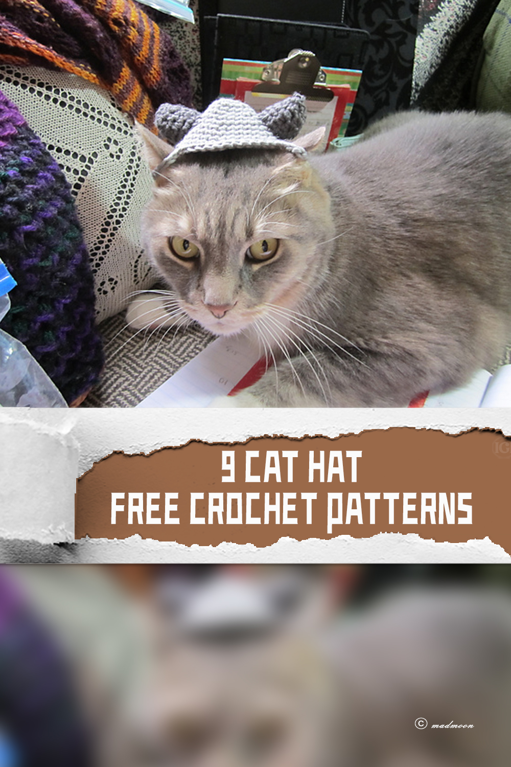 9 Cat Hat FREE Crochet Patterns - iGOODideas.com
