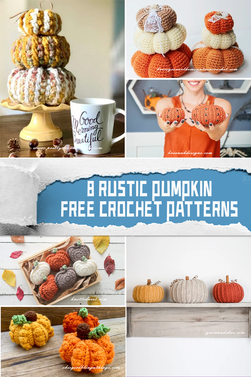 8 Rustic Pumpkin Free Crochet Patterns - iGOODideas.com