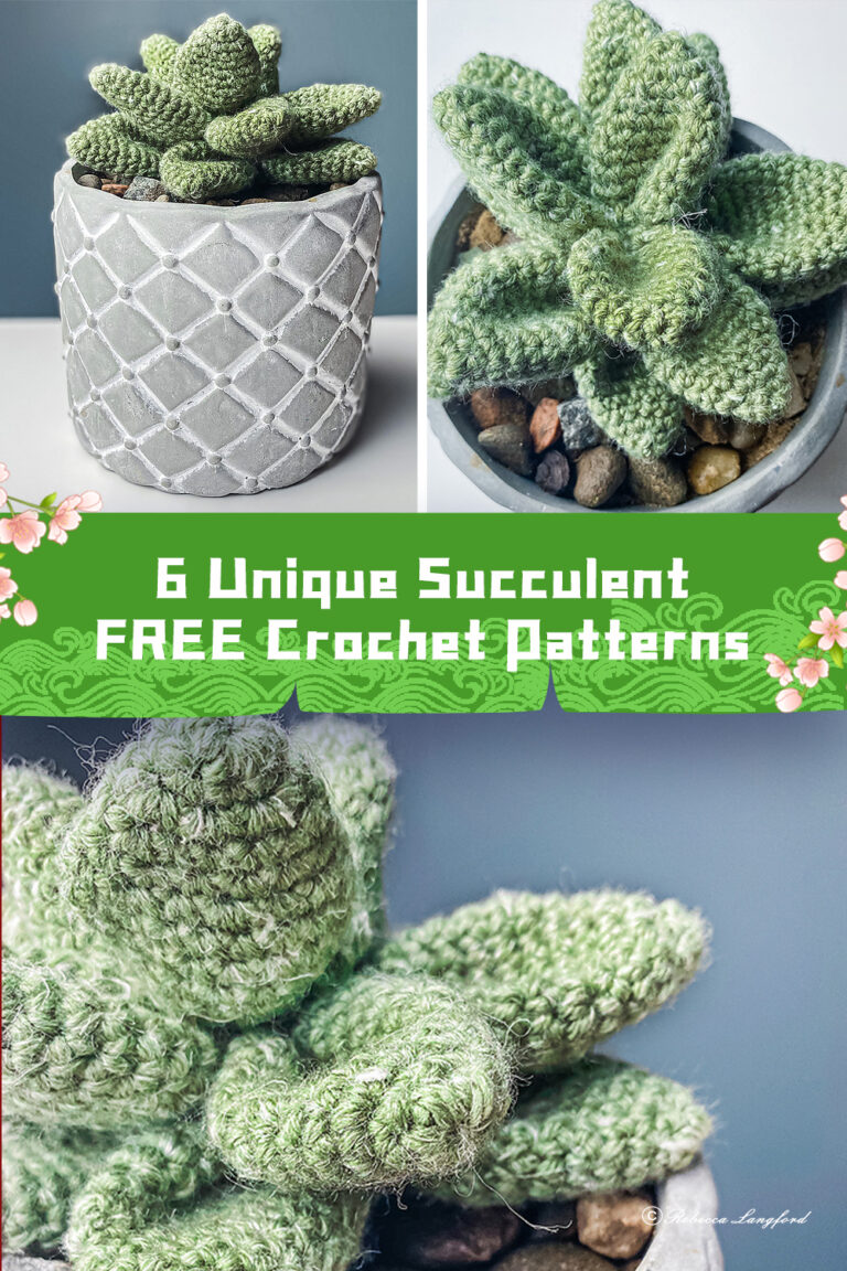 6 Unique Succulent Crochet Patterns - FREE - iGOODideas.com