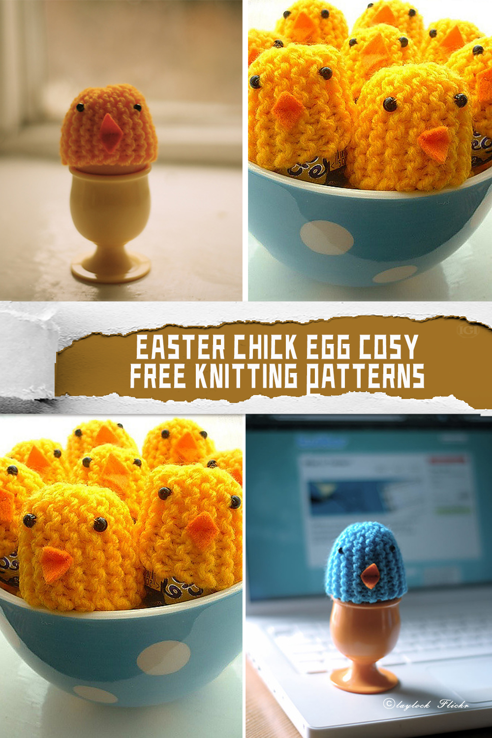 Easter Chick Egg Cosy Knitting Patterns - FREE - iGOODideas.com