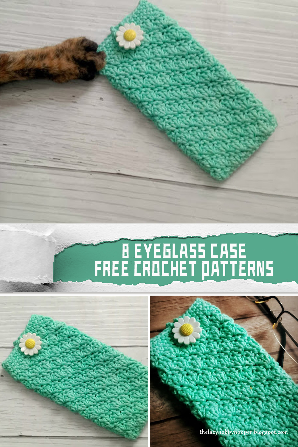 8 Eyeglass Case Crochet Patterns - FREE - iGOODideas.com