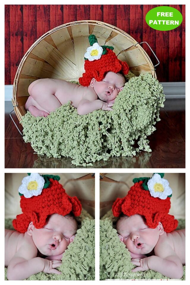 6 Strawberry Hat Crochet Patterns – FREE - iGOODideas.com